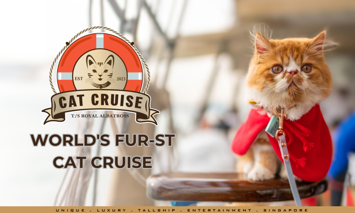 Homepage - Cat Cruise SG